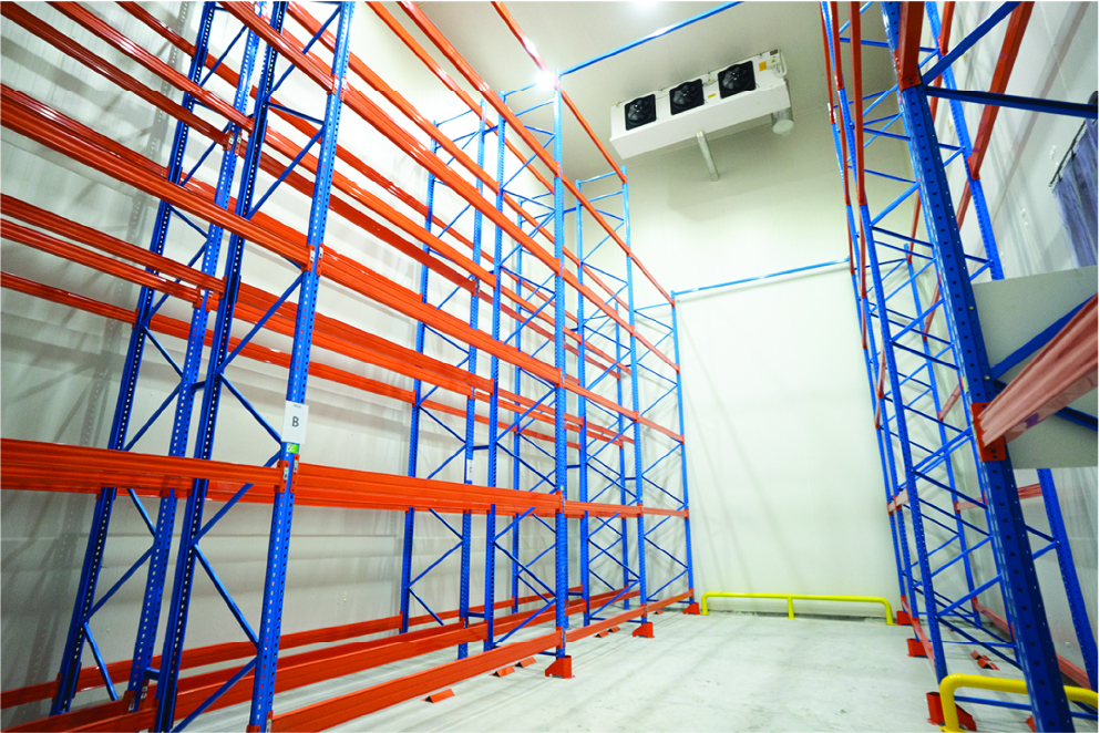 Pallet Position at Cold Storage - HSN Group
